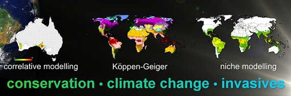 CliMond: global climatologies for bioclimatic modelling